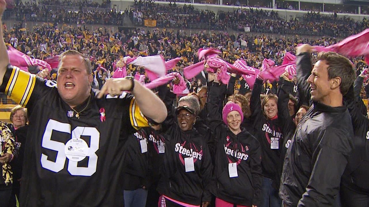 2014 Breast Cancer Awareness Game