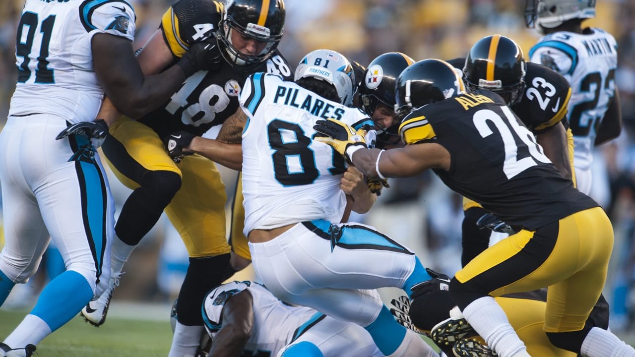 Steelers vs Panthers - 08-30