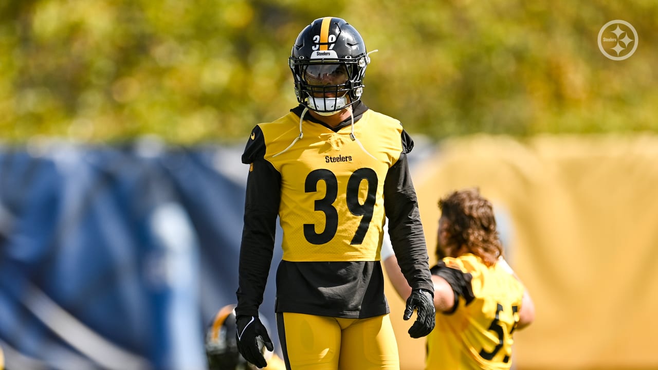 Steelers confident turnovers will come for Fitzpatrick