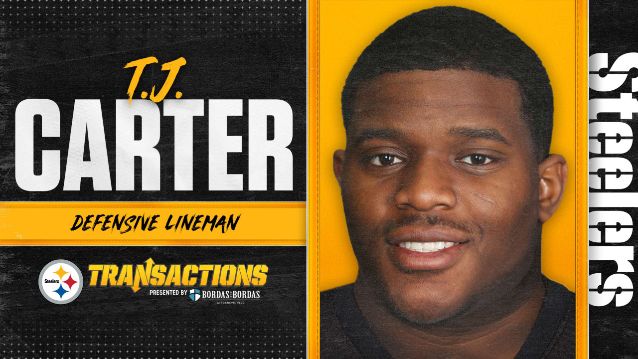 Steelers add Carter to mix on defense