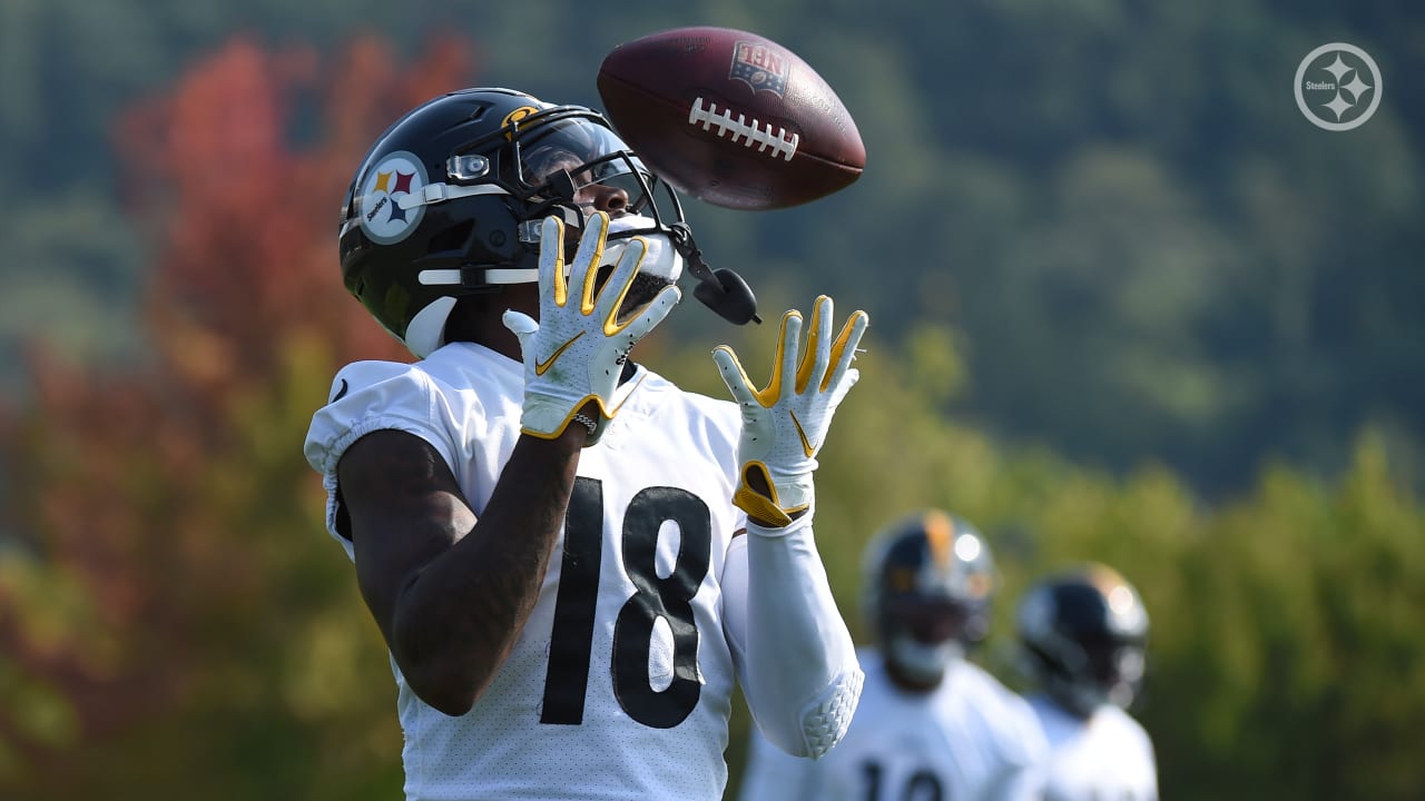 Johnson clears concussion protocol