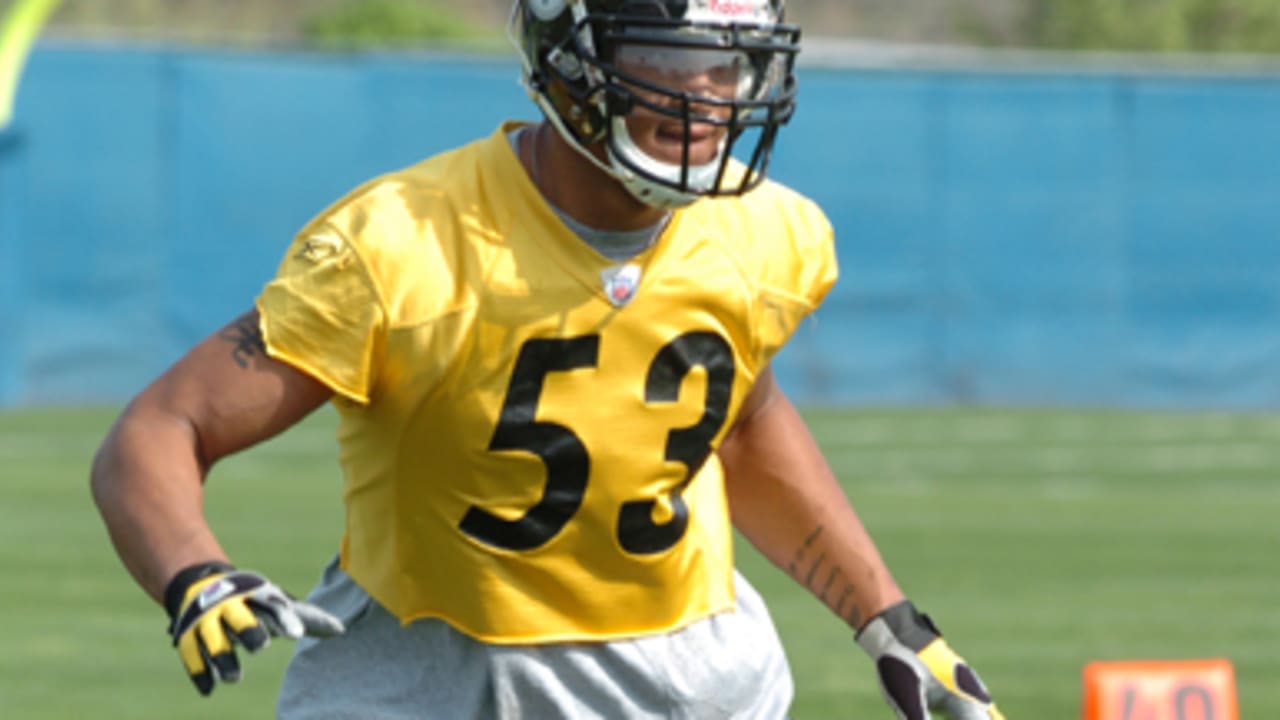 Ask The Steelers: Bruce Davis Part 1