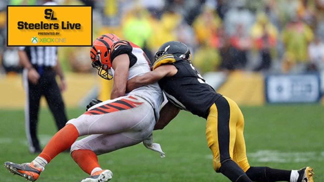 Steelers' defense vs. Bengals