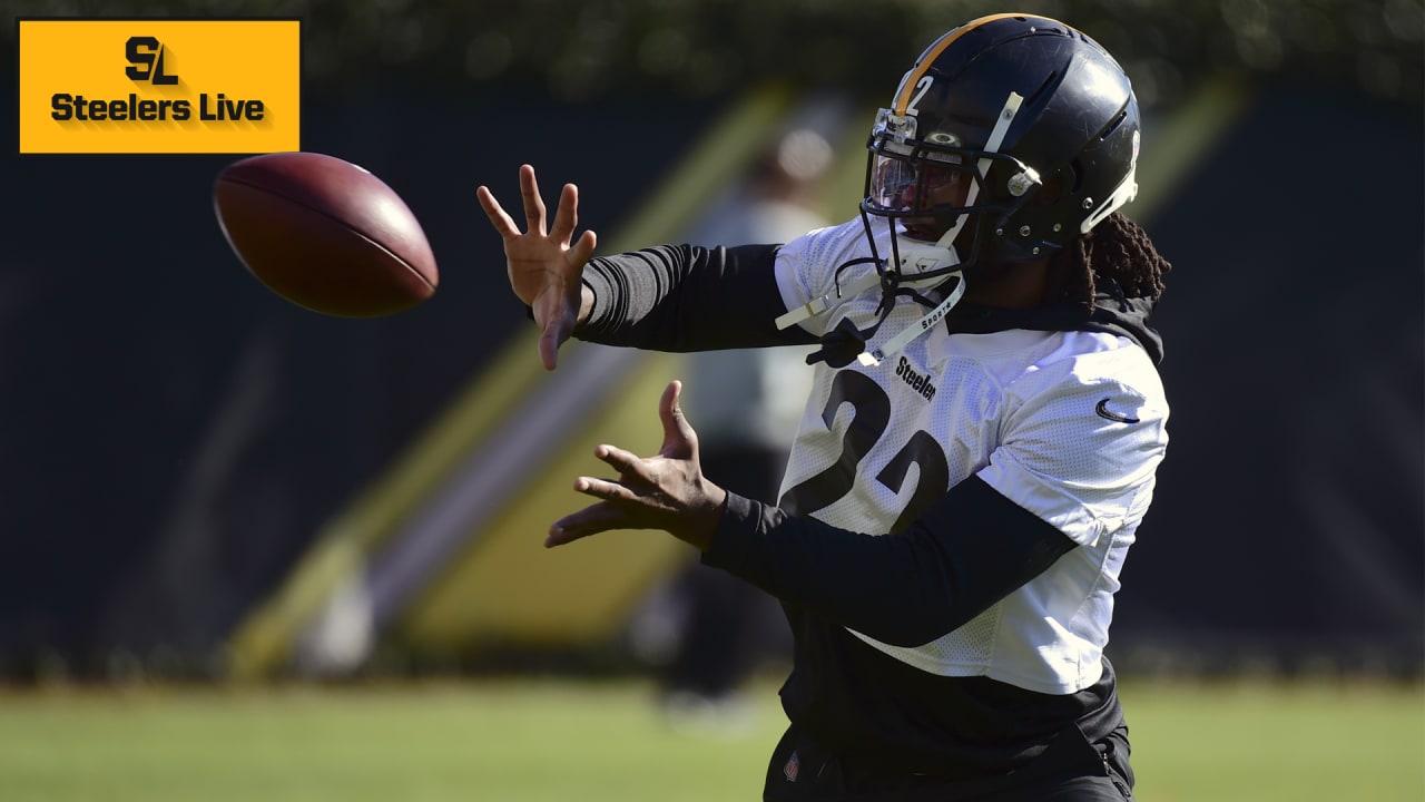 Status Report: Steelers vs. Lions