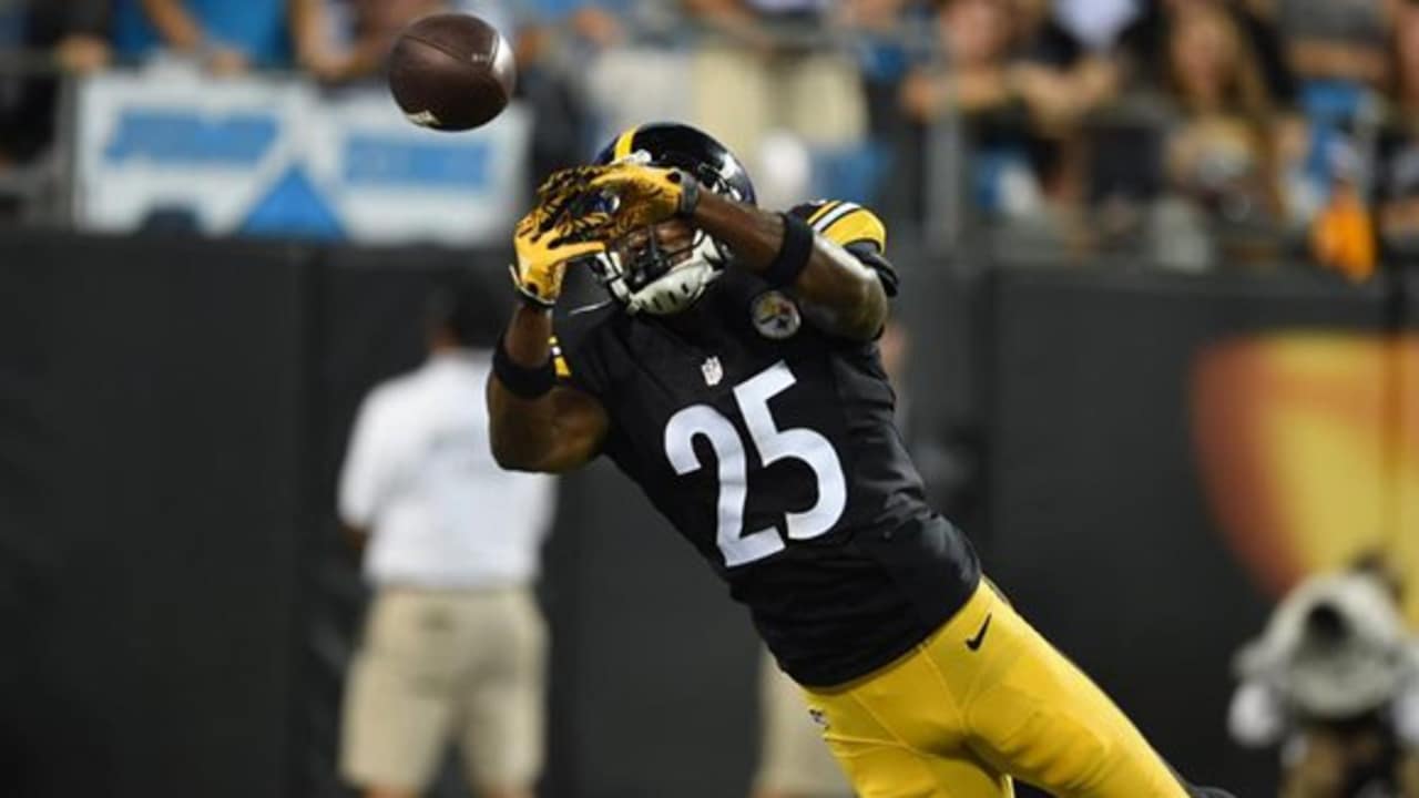 Steelers vs. Panthers recap