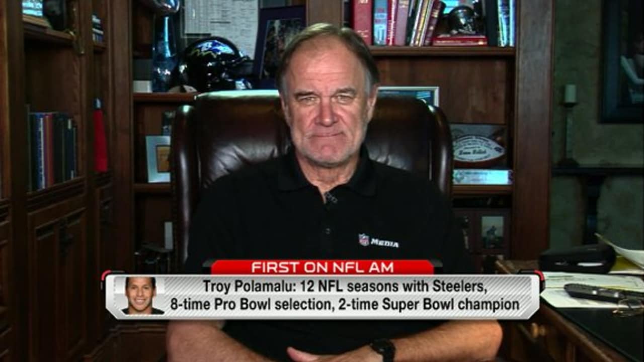 Brian Billick on Polamalu: He's a first ballot Hall of Famer