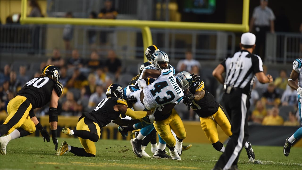 GAMEDAY PHOTOS: Steelers vs. Panthers