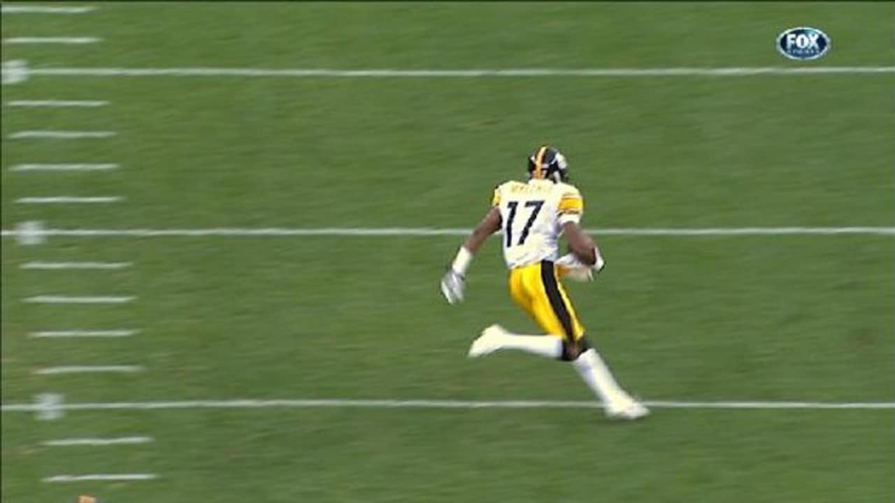 Steelers vs. Broncos - Mike Wallace 47yd Reception