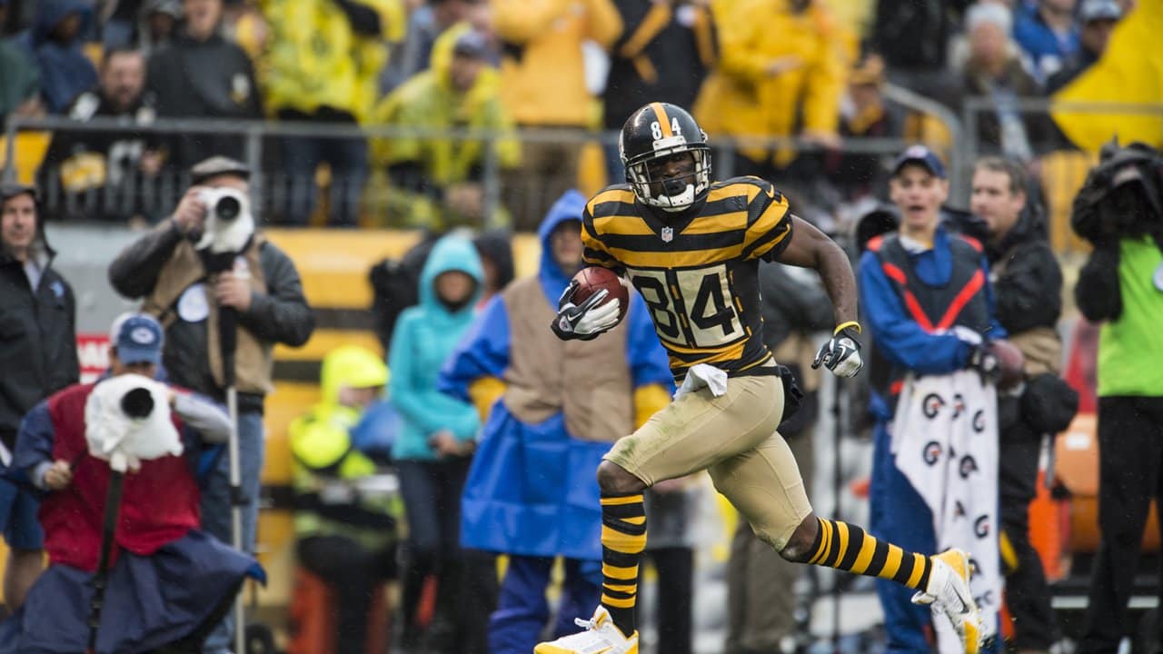 Photos: Steelers Wide Receiver Photos of 2013