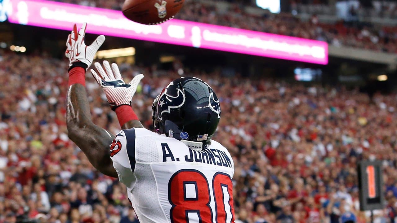 Andre Johnson: 1,000 Catches