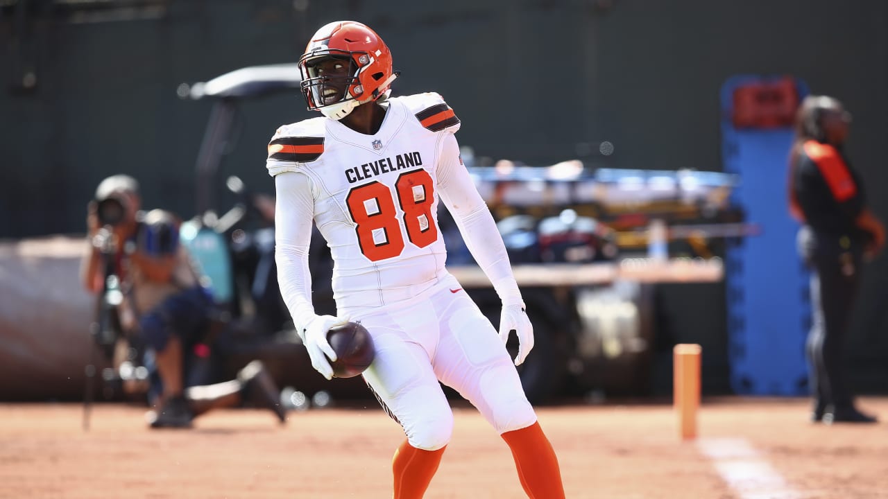 Photos: Best of TE Darren Fells