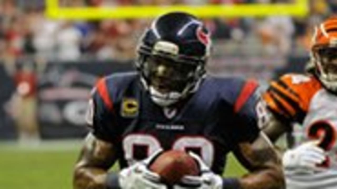 Johnson primed for Ravens