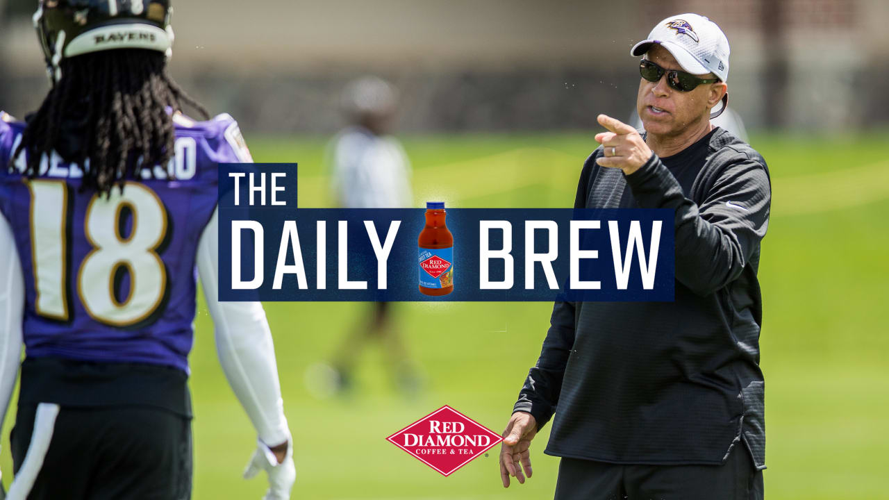 The Houston Texans have hired former Baltimore Ravens assistant head ...