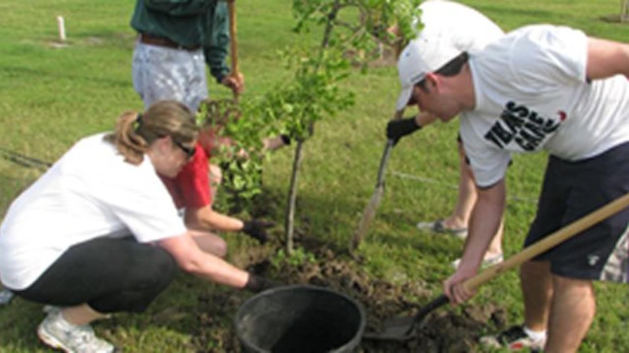 Houston Texans YMCA tree planting