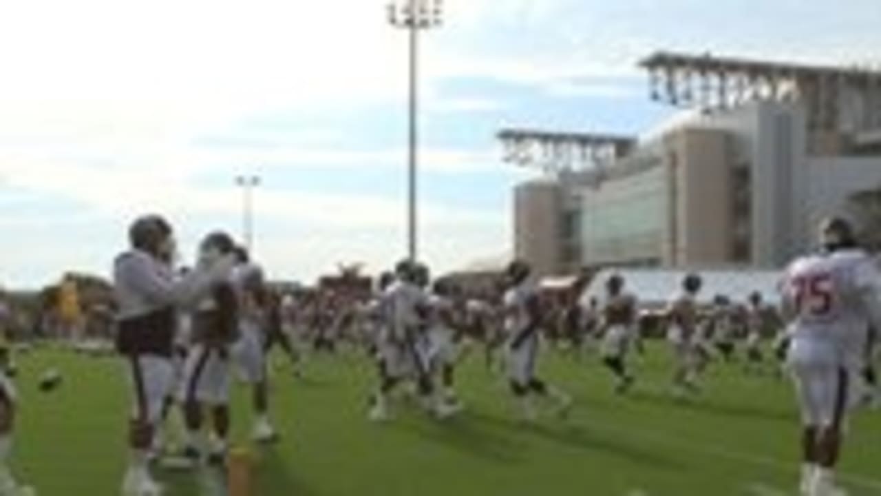 Texans release Alex Carrington