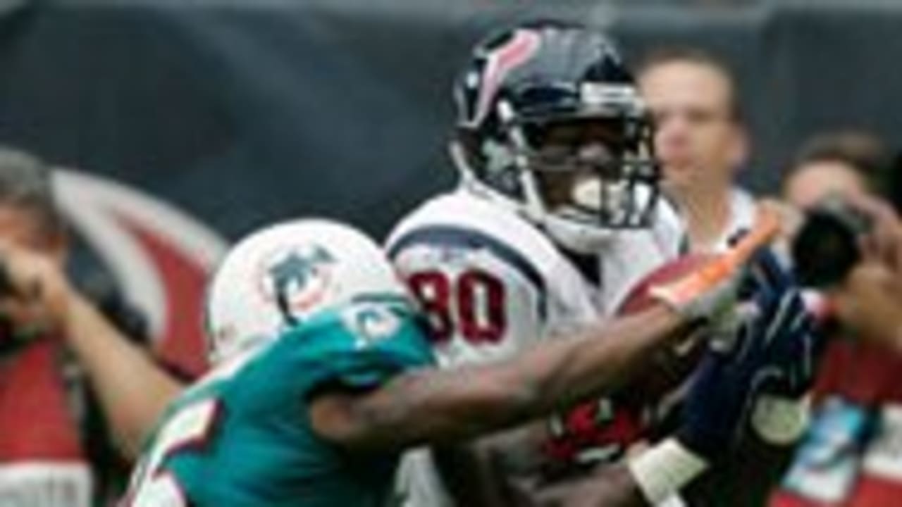 Andre Johnson: Miami Dominator