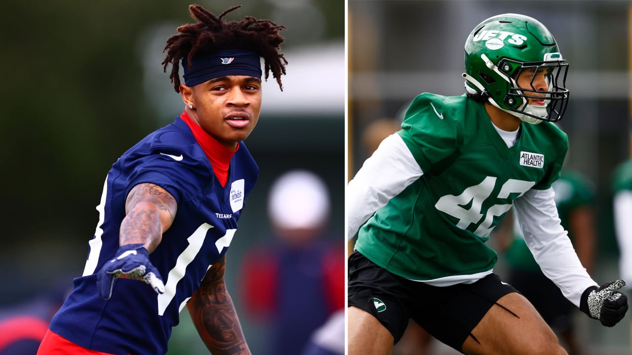 The Houston Texans have signed Tank Dell & Ian Swenson and released ...