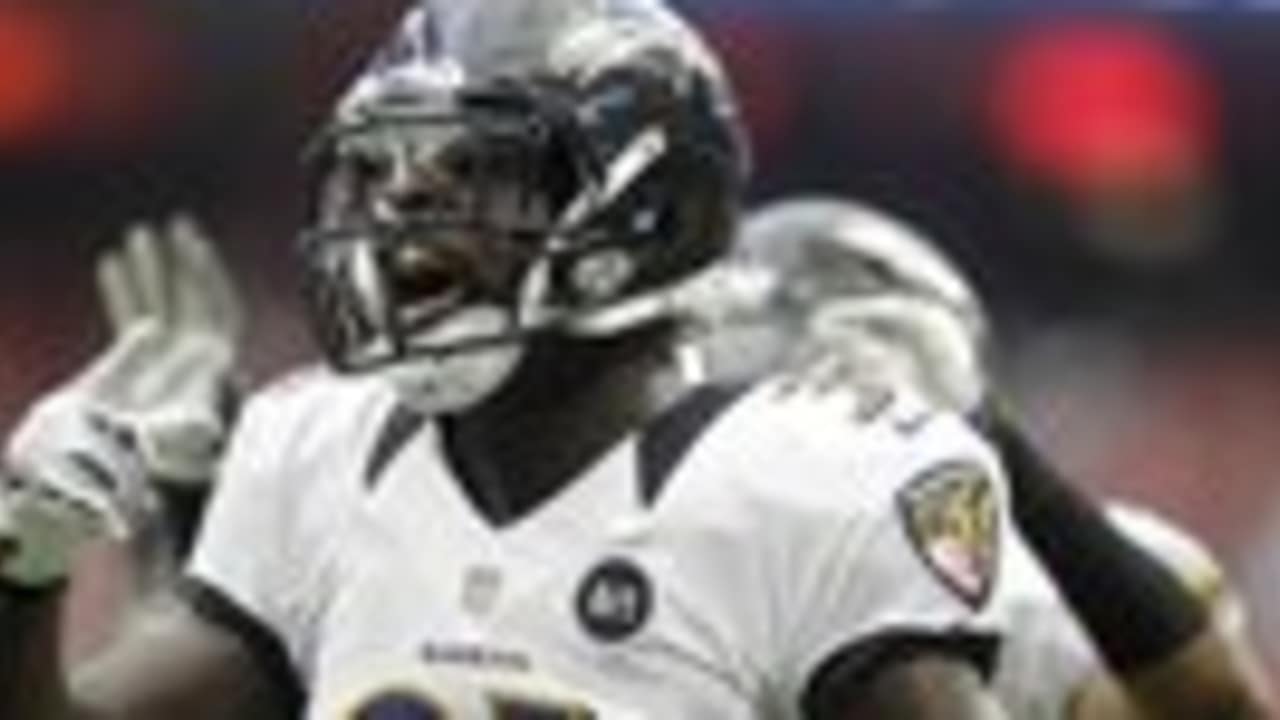 Bernard Pollard Brings Physical Presence, Playoff Experience to Titans