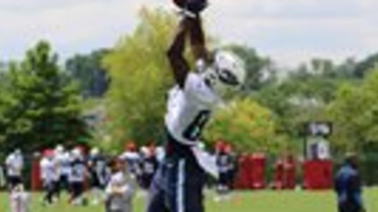 Rookie WR Corey Davis Making Strides with Titans, Mariota