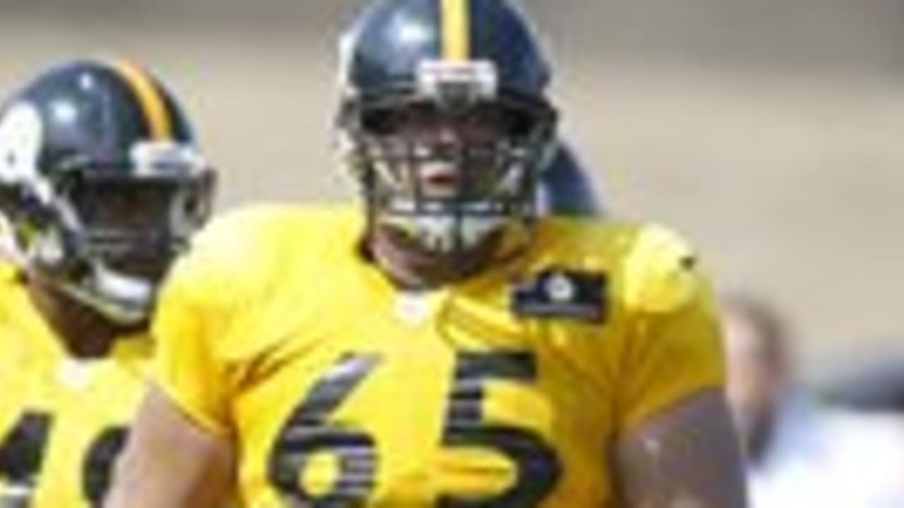 Titans Agree to Terms with Former Steelers Defensive Lineman Al Woods