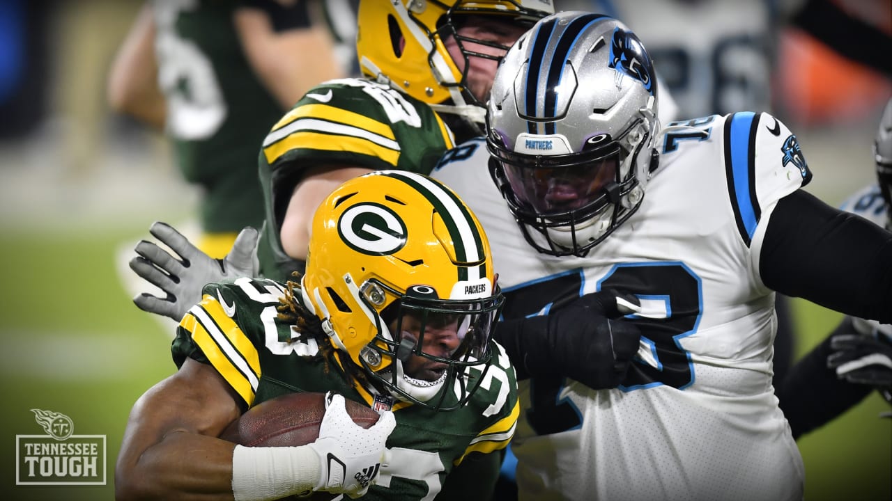 DL Woodrow Hamilton's NFL Career