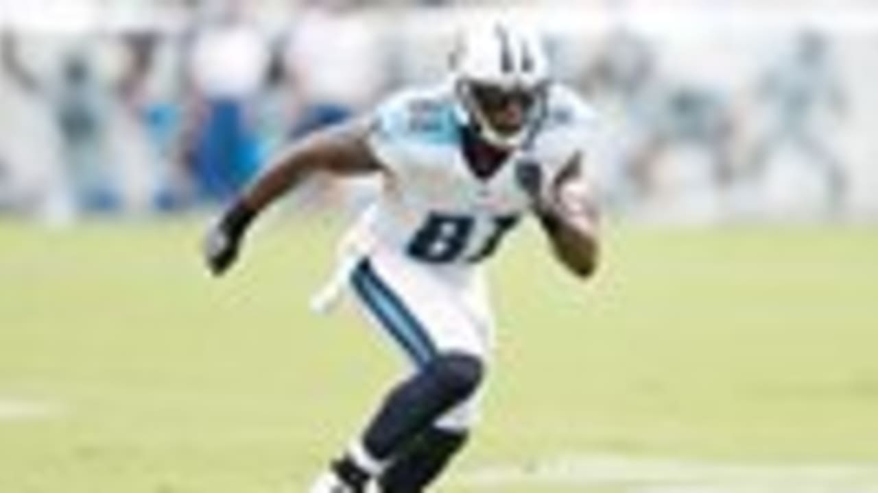 Veteran WR Andre Johnson Wants to Practice, and Perform, for Titans