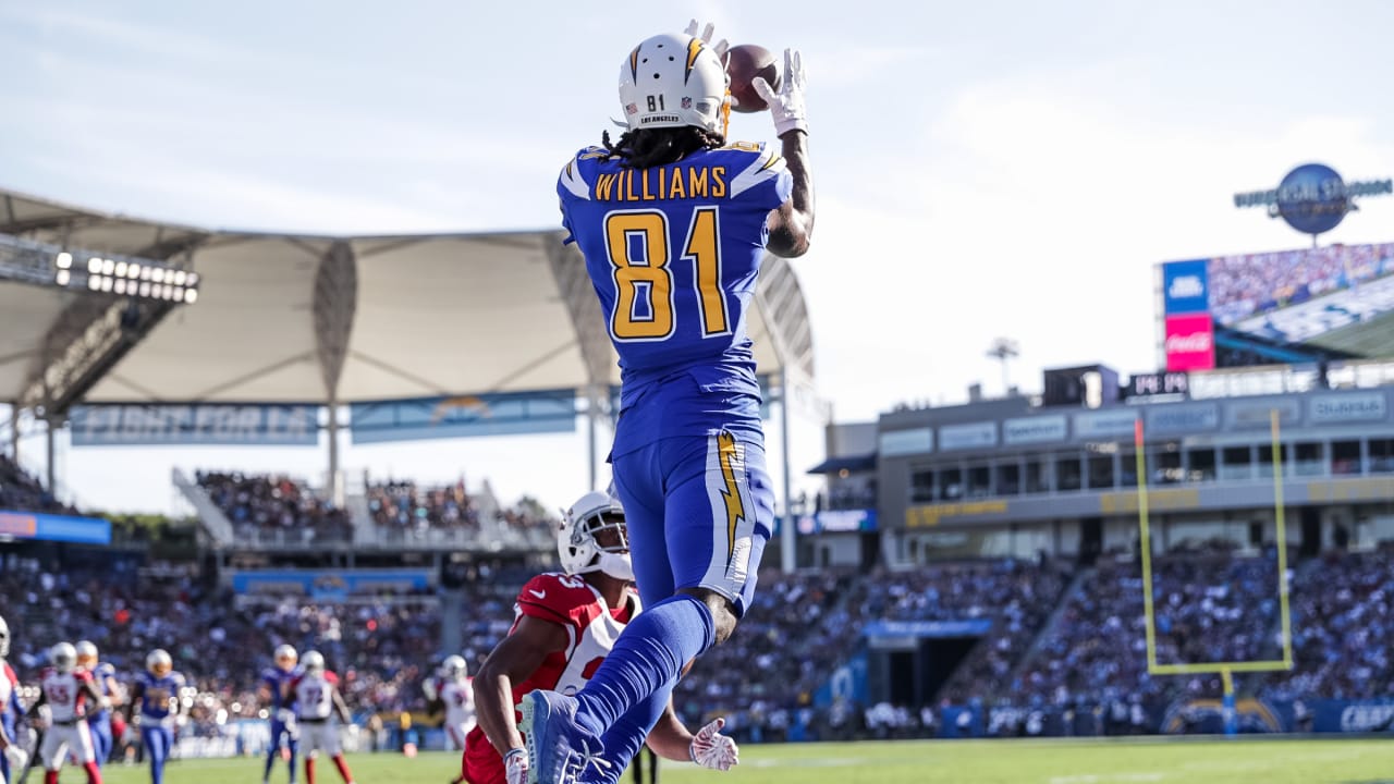 Mike Williams Goes Up For Touchdown