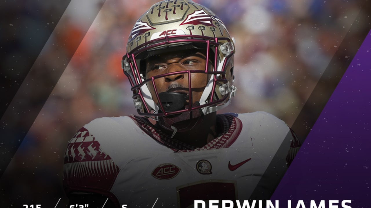 Prospect Profile: Florida State S Derwin James