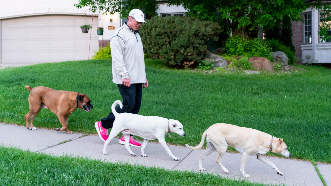 Purple Pups: Una, Cozy & Bones Spielman