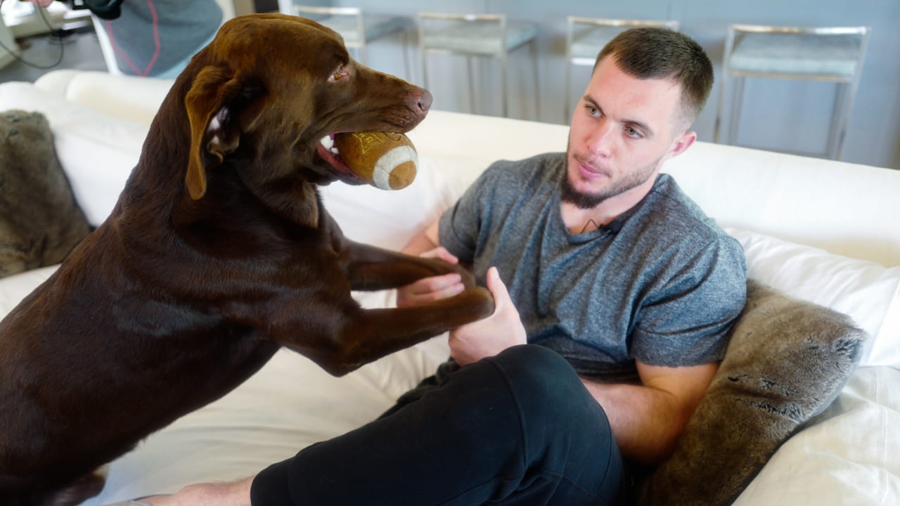 Purple Pups Photos: Harrison and Deuce Smith