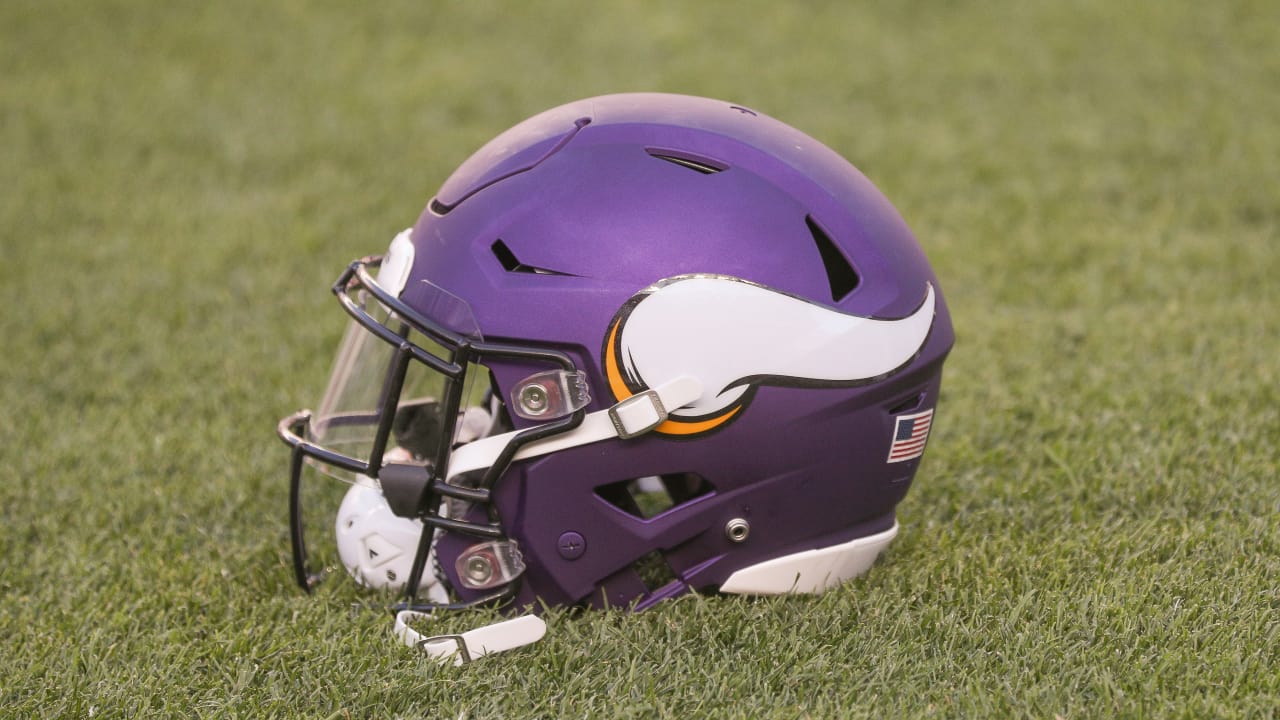 Vikings Release 14 Players