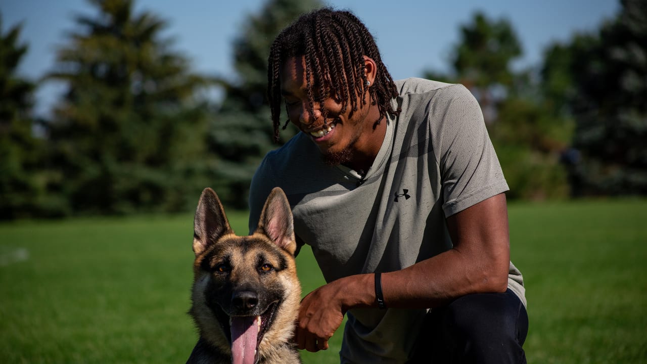 Purple Pups: Justin Jefferson Proud of German Shepherd Apollo's Athleticism