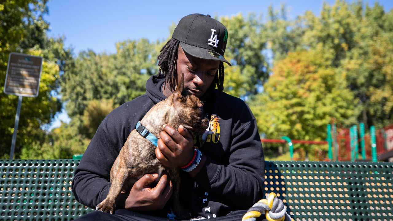 Purple Pups Featuring Brian Asamoah & Chrome