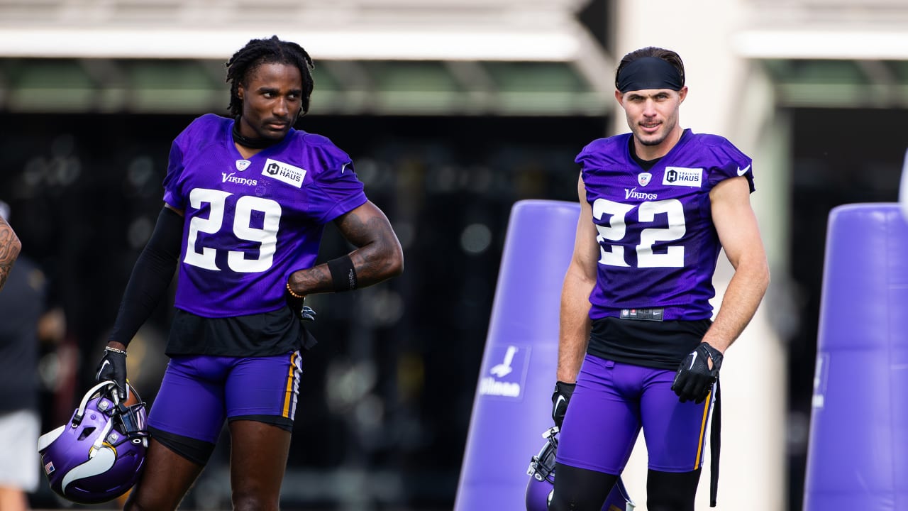 Introducing the Tennesota Vikings: Harrison Smith, Ty Chandler, Joejuan ...