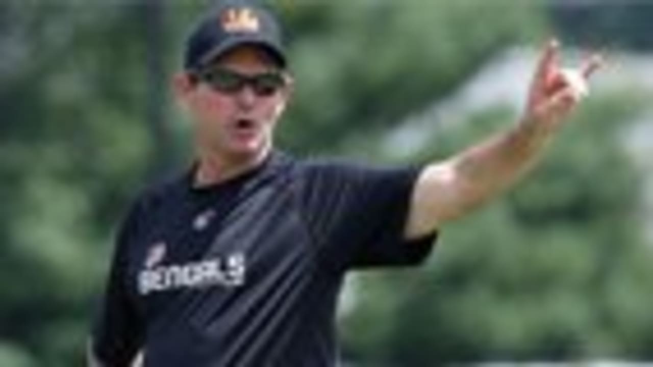 Zimmer's Bio and Background