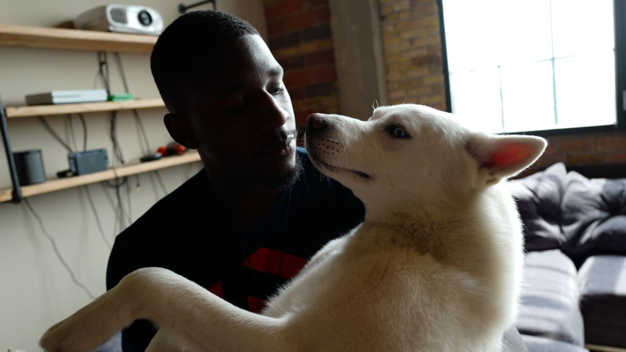 Purple Pups Photos: Stephen, Atlas & Orion Weatherly