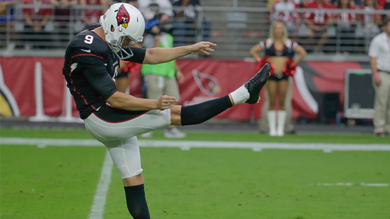 Vikings Sign Punter Ryan Quigley