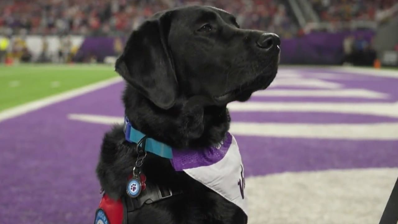 Hometown Hero: Riggs | Vikings-49ers