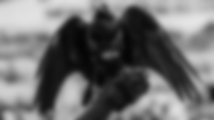 Ravens Flock | Baltimore Ravens – baltimoreravens.com