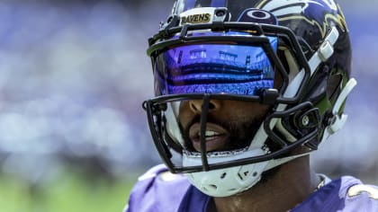 James Ihedigbo Ravens