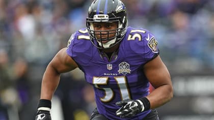 Daryl Smith Ravens Wallpaper