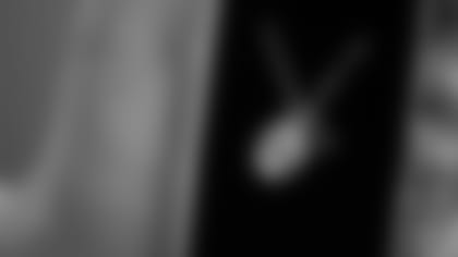 Official website of the New England Patriots