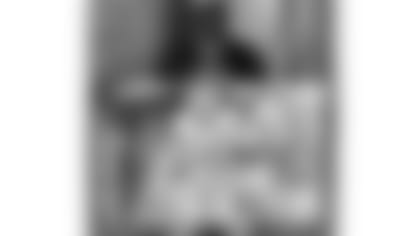 Raider Nation Art Gallery | Las Vegas Raiders | Raiders.com