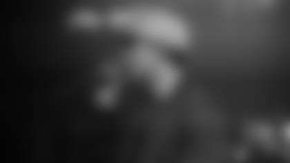 Vikings Photos | Photos Home | Minnesota Vikings - vikings.com