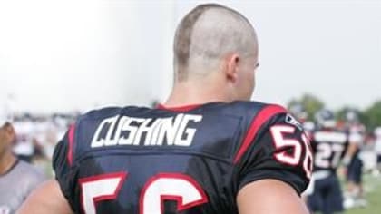 Brian Cushing High School