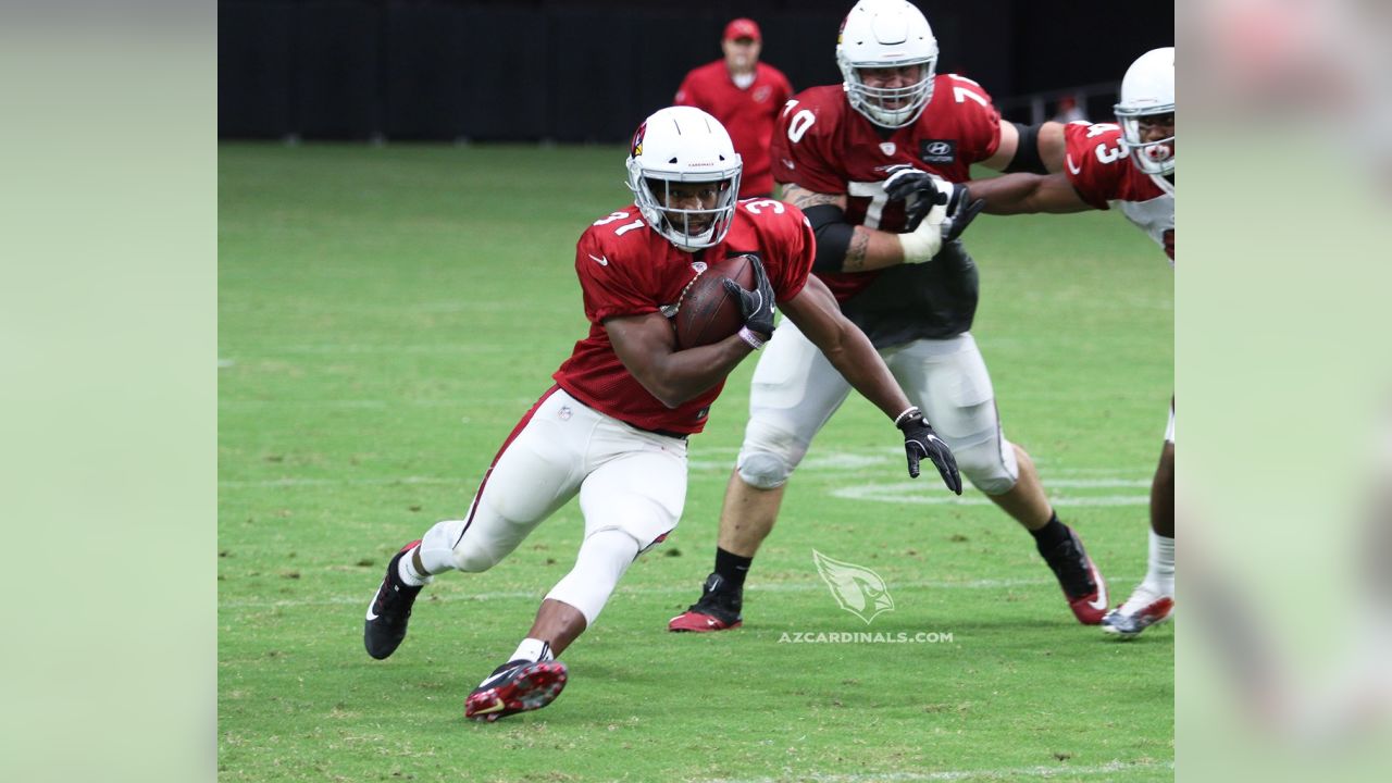 Troy Niklas Kardinalen Troy Niklas, New England, Tight End