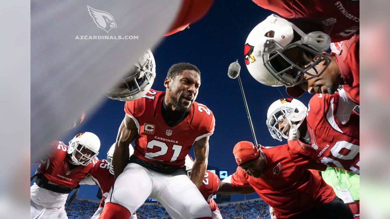 Patrick Peterson Wallpaper