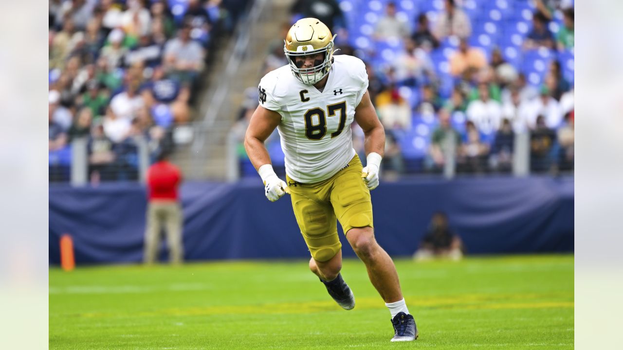 Terrance Williams Cowboys 2022