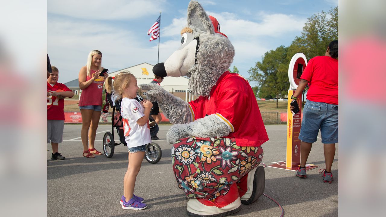 Kc Wolf Tackles Fan
