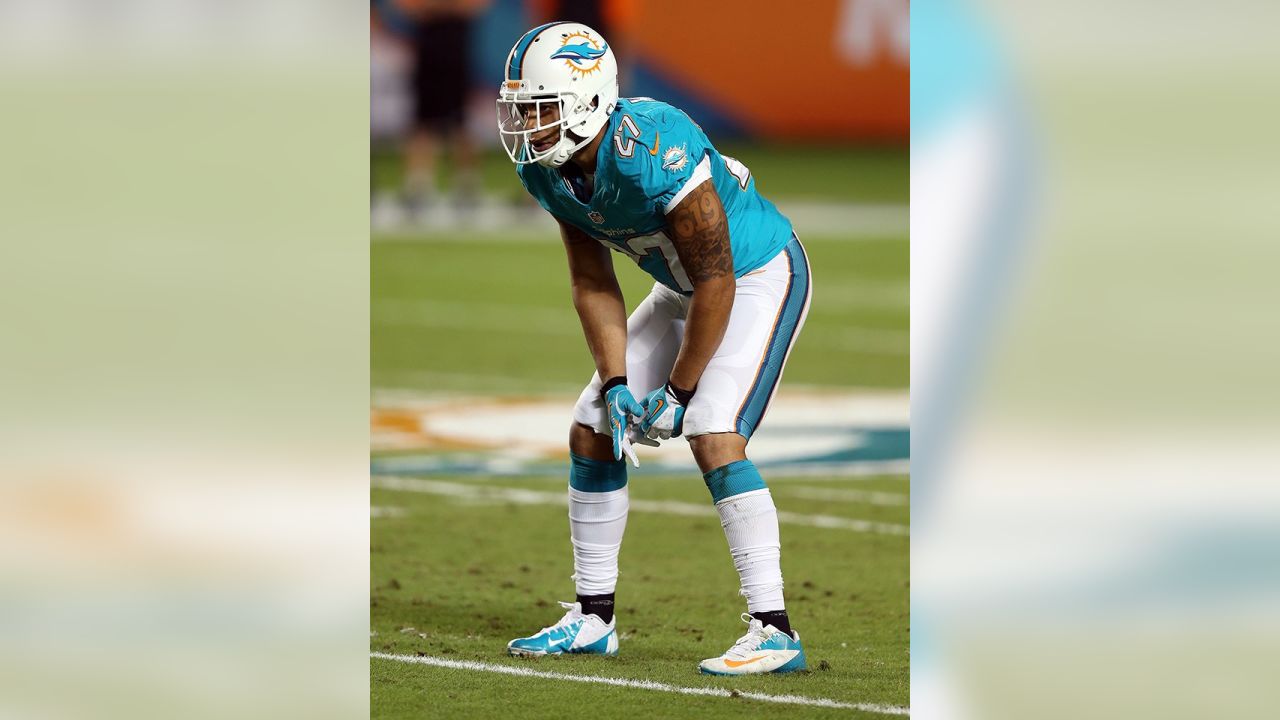 Jimmy Wilson Dolphins